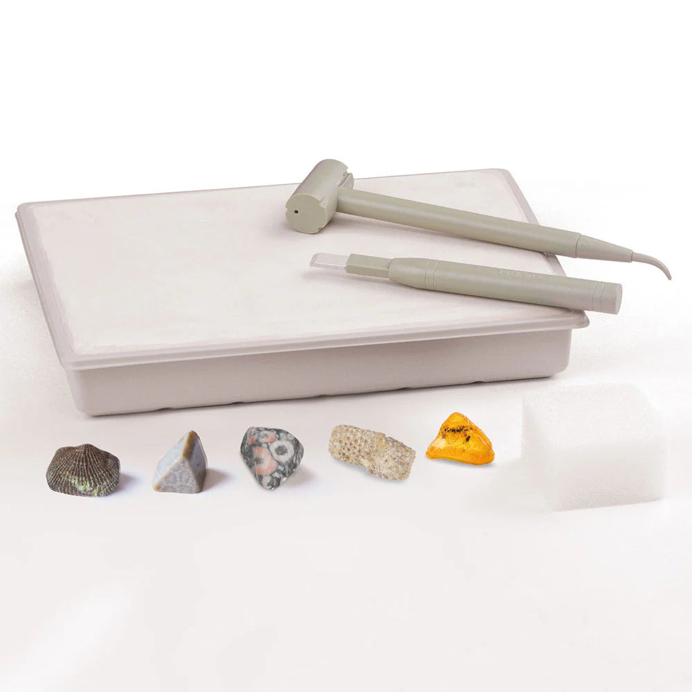 Thames & Kosmos I Dig It! Fossils - Real Fossils Excavation Kit ...
