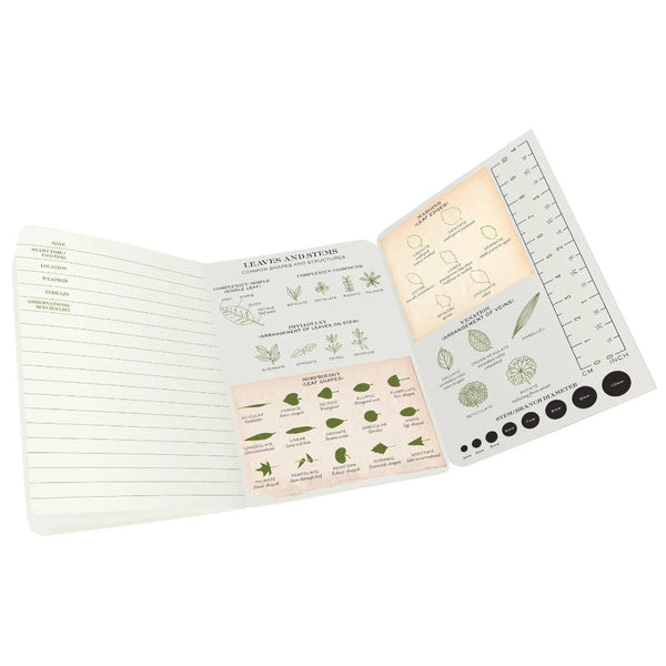 Unemployed Philosophers Guild Pocket Notebook - Botany – Midoco Art ...