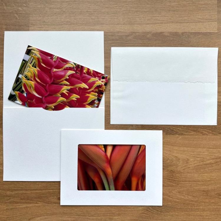 Strathmore Creative Cards 6pk 5x6.875" - Photo Frame – Midoco Art ...