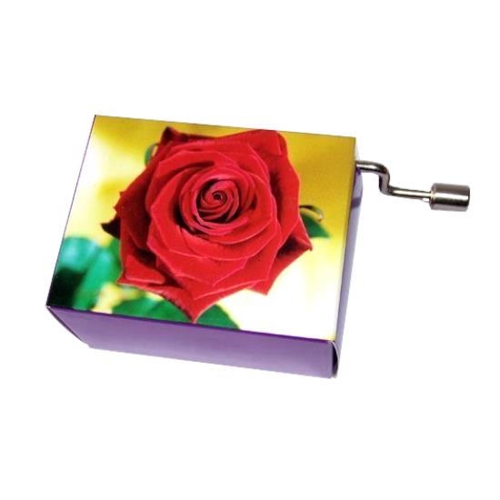 Fridolin Music Box - Happy Birthday, Rose – Midoco Art & Office Supplies