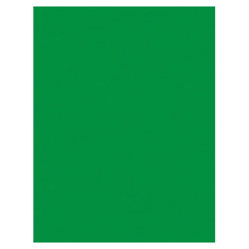 North American Paper Inc. 22" x 28" Poster Board - Kelly Green – Midoco ...